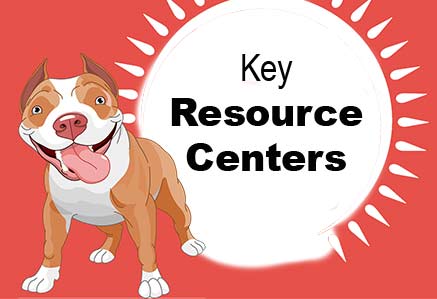 Contact & About – No Kill South Carolina